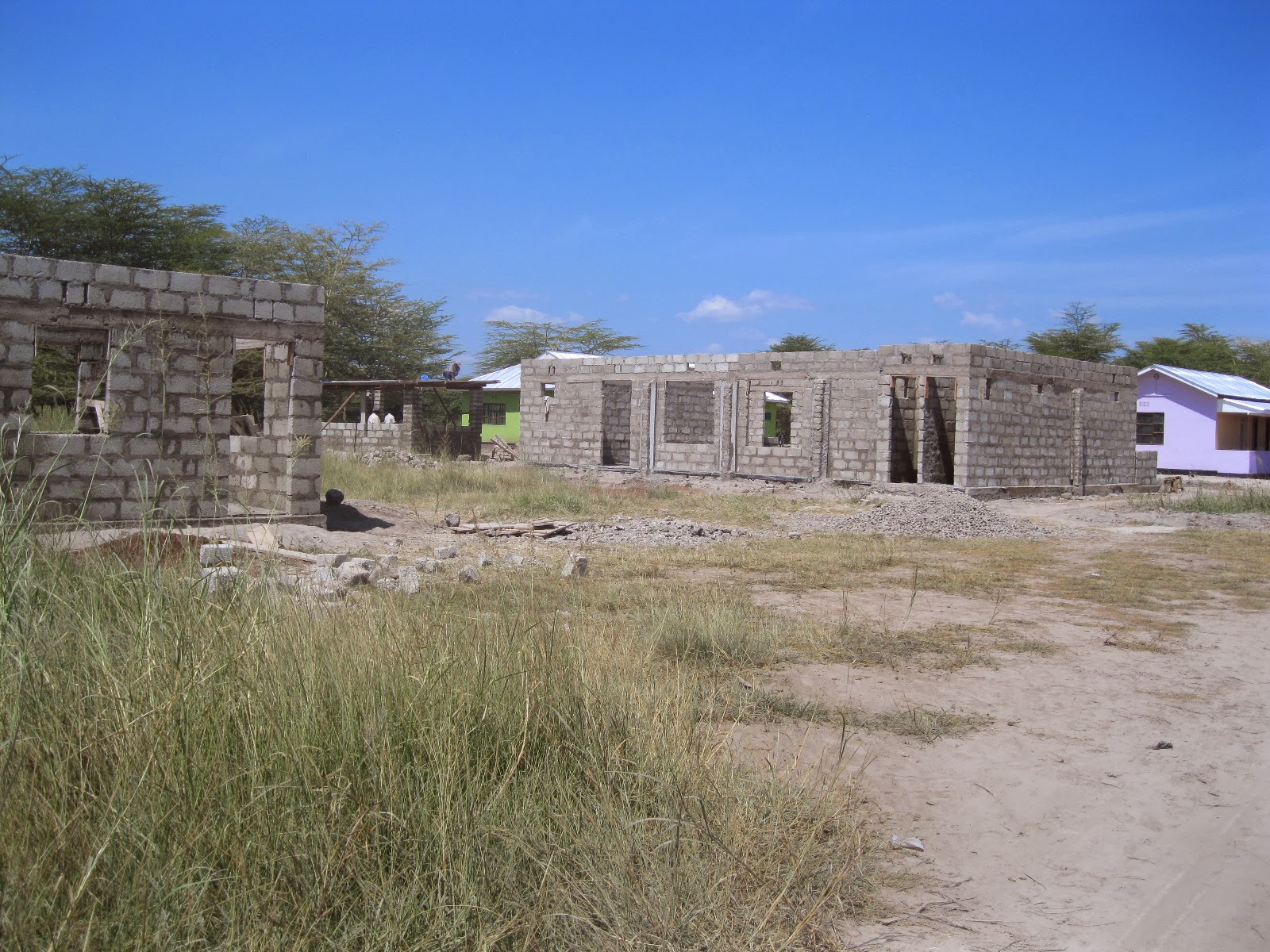 Lynn Connell - MAJENGO