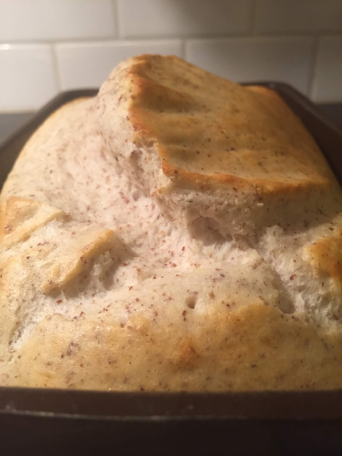Wonderful White Blender Bread - Trim Healthy Mama Review - Lora Lovin ...