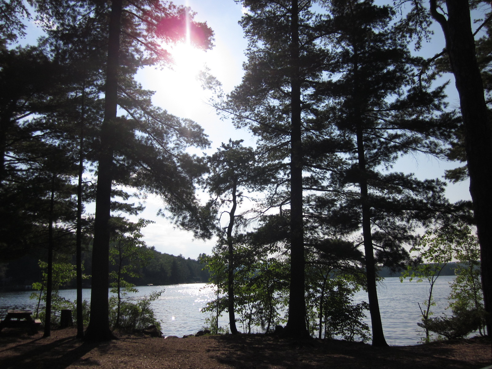 a life more awesome: Fernal Shores