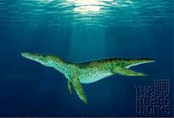 Visión cósmica del planeta Tierra, del sistema solar, y del universo