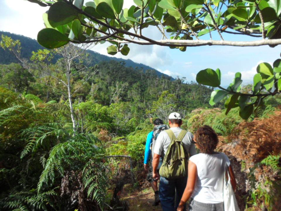Pico Turquino - A Cuba Research Trip