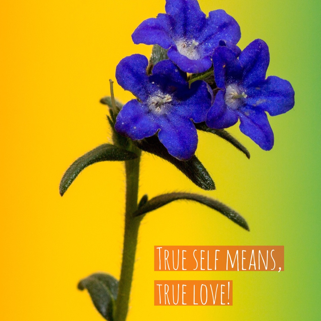 True Self true-self