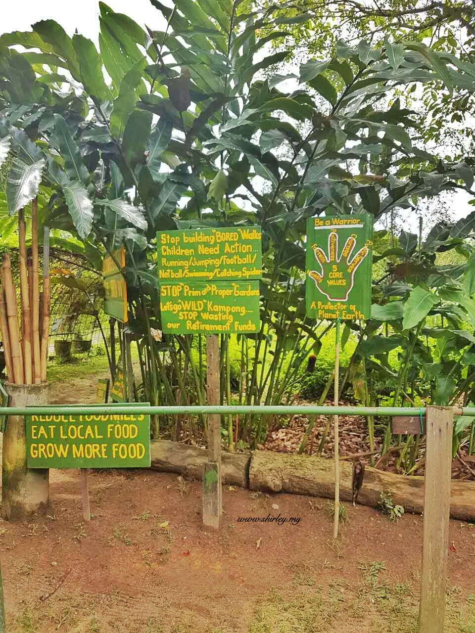 A day visit to Kranji Countryside Singapore - Bollywood Farms - Shirley.my