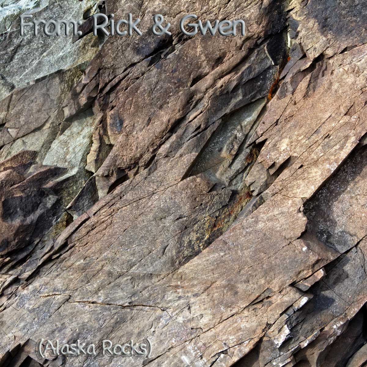 Rick & Gwen's Adventures....: How many shades of green are there...?