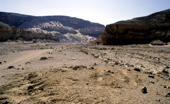 NephiCode: The Egyptian Connection—Reformed Egyptian Language