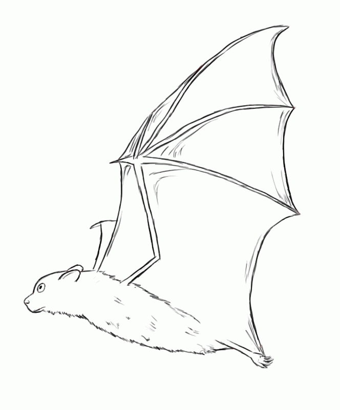 Kids Page: How To Draw A Bat Central Coloring Pages