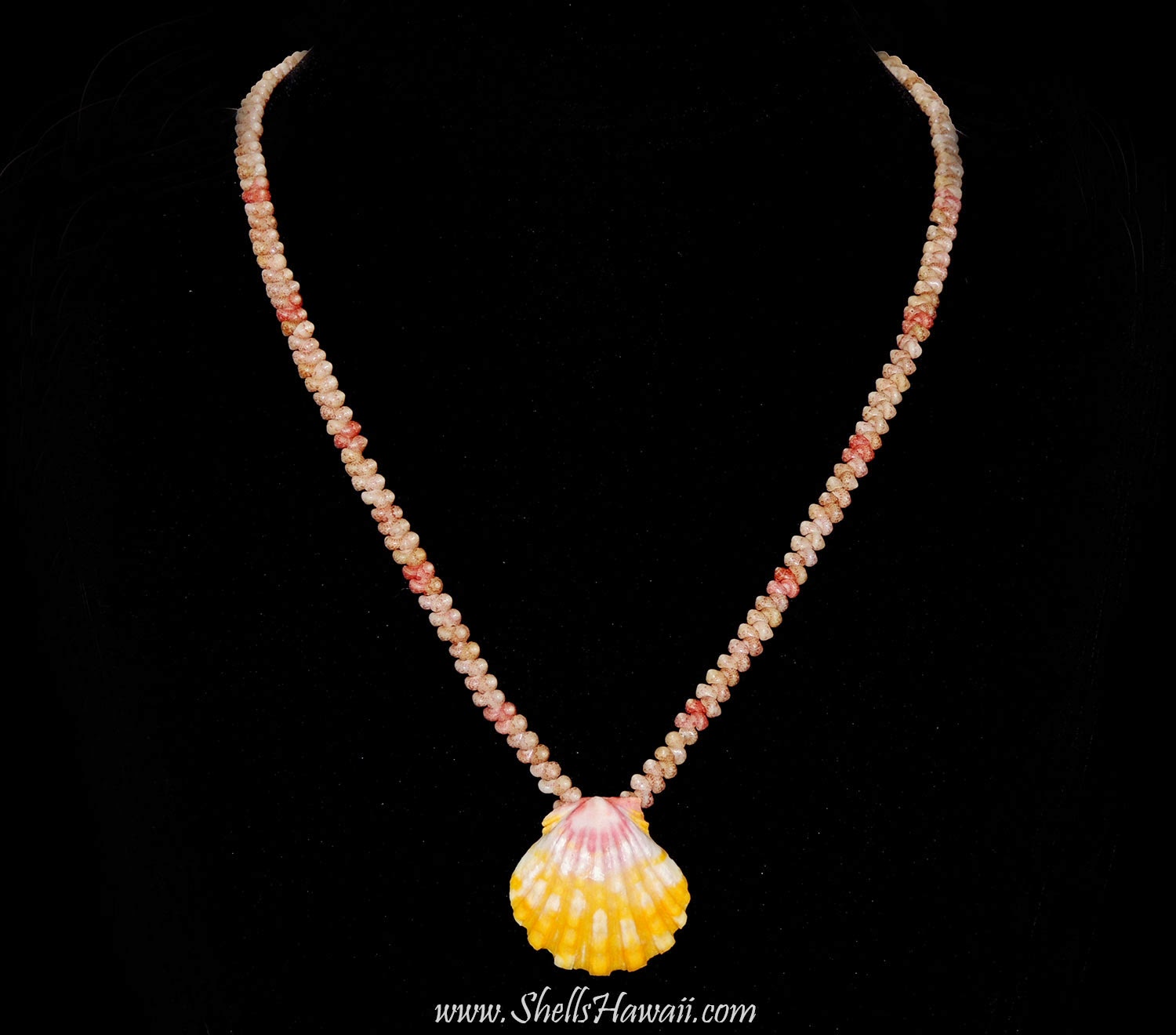 Kahelelani & Sunrise shell jewelry by.... Janjira: Hawaiian shell jewelry