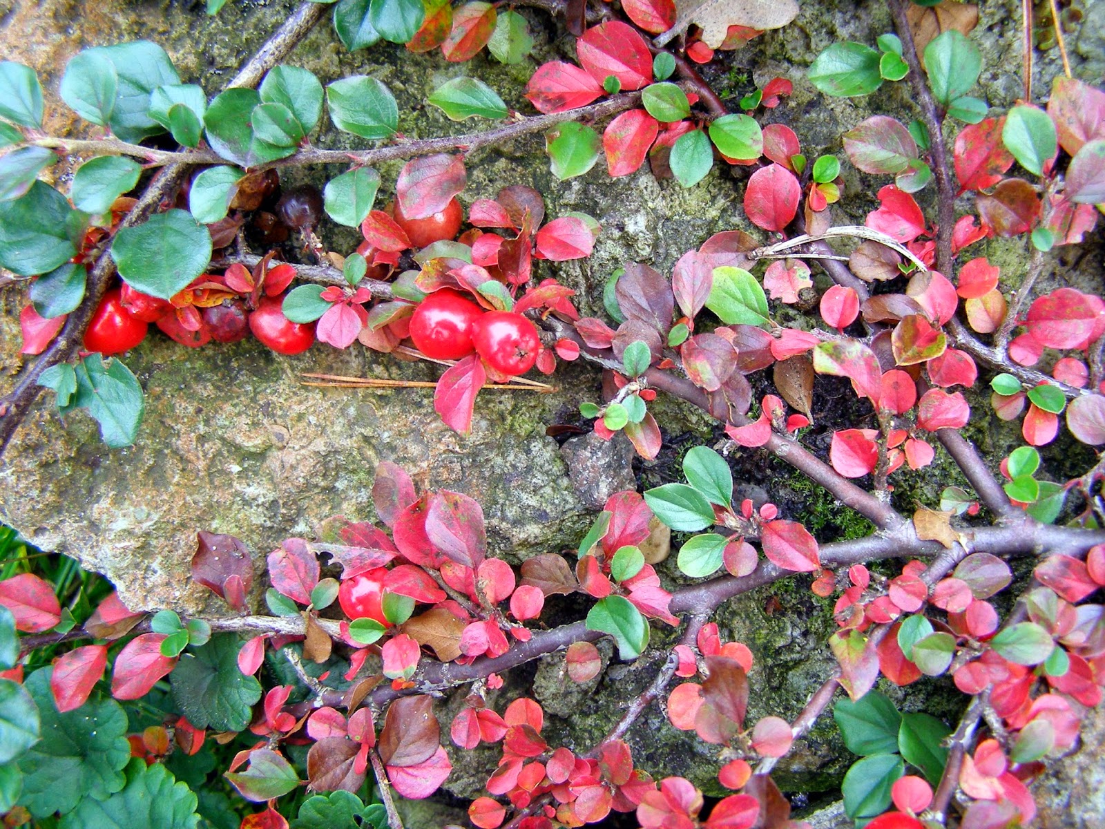 FUTULAND: Oktoobri väikesed rõõmud