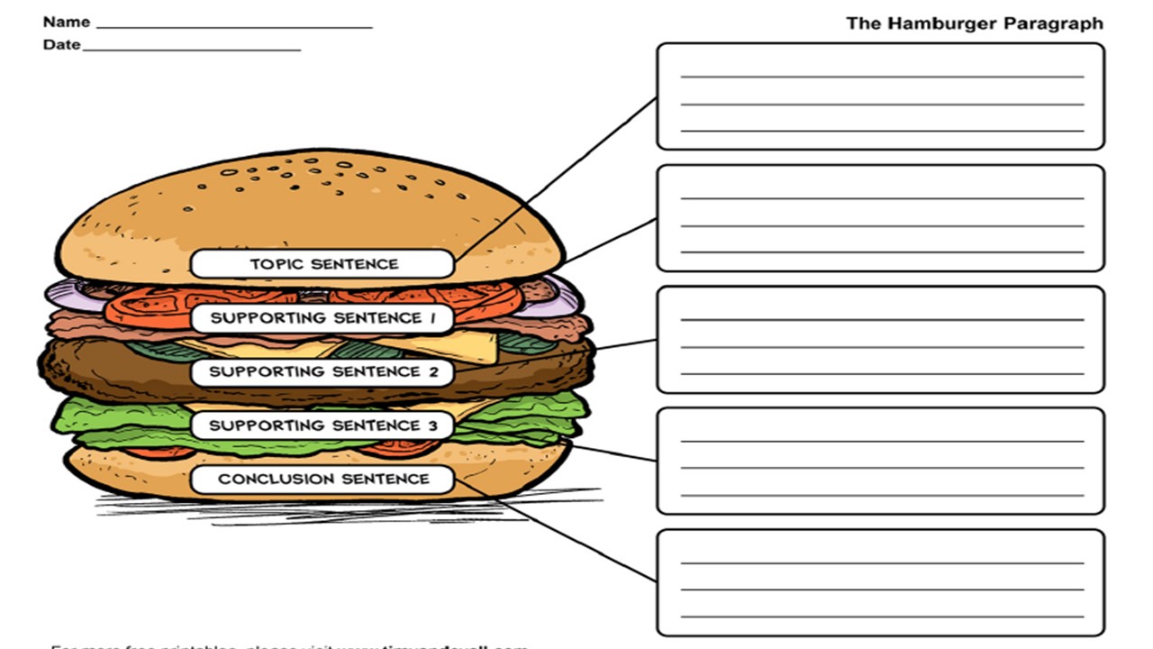 Paragraph Writing Hamburger Process Paragraph Writing Hamburger Process