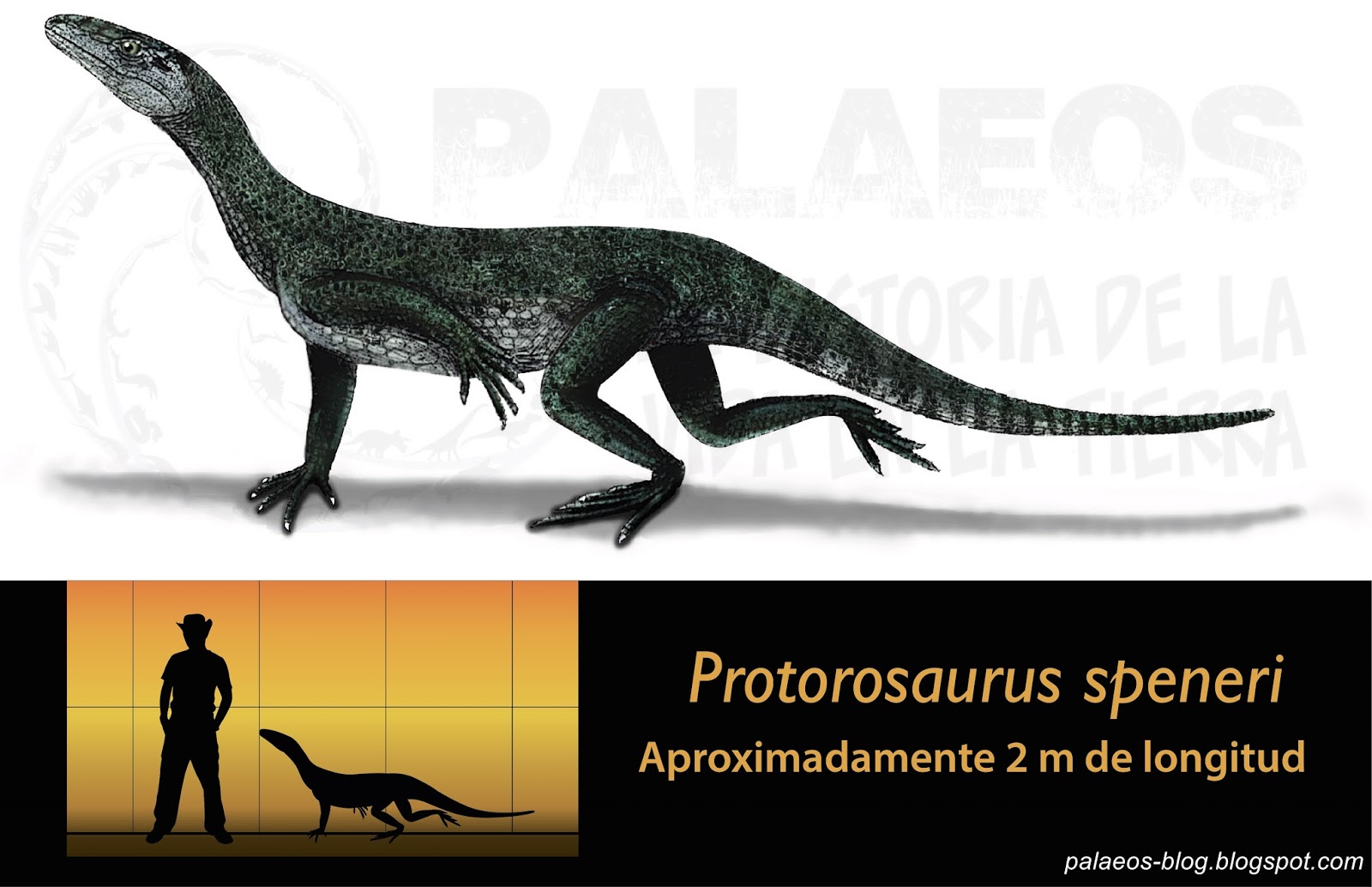 Paleo Profile: Everybody Walk the Archosaur! - Poposaurus - Fimfiction