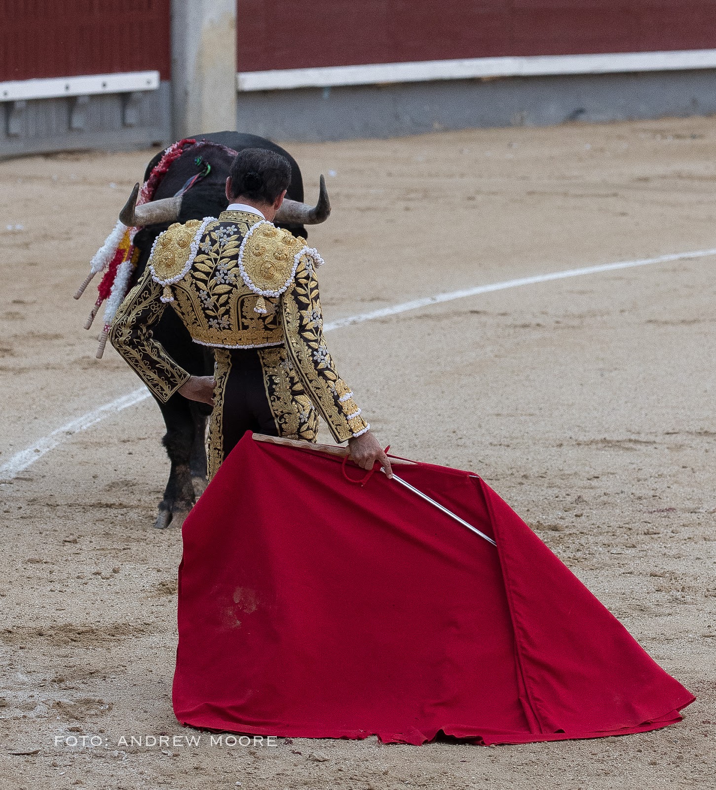 ¿Y SI TOREAR FUERA ESTO?