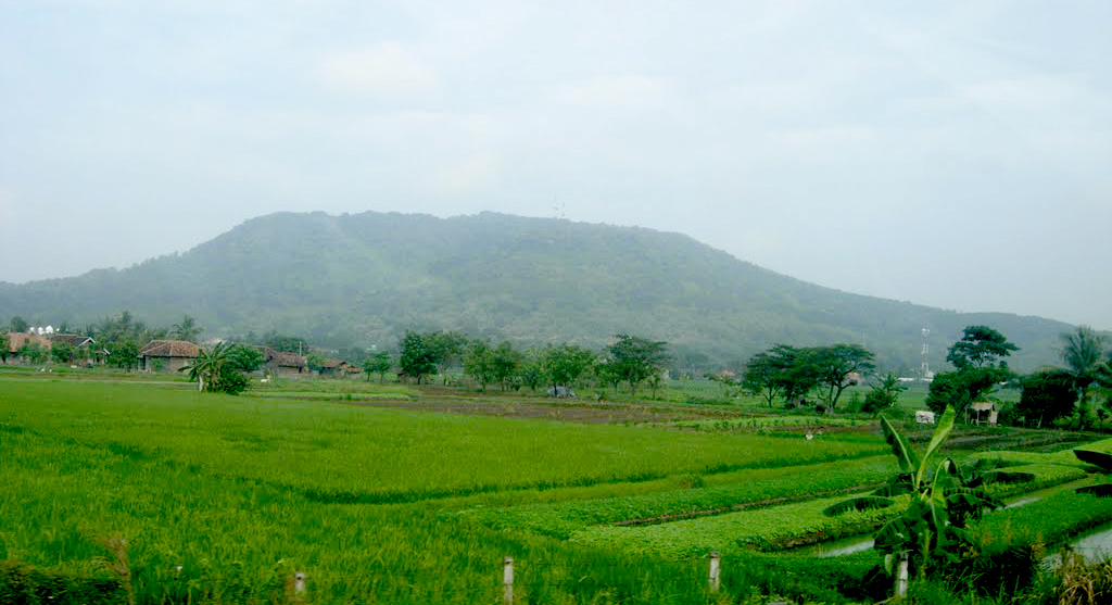 Art and Lore: Legenda Gunung Pinang