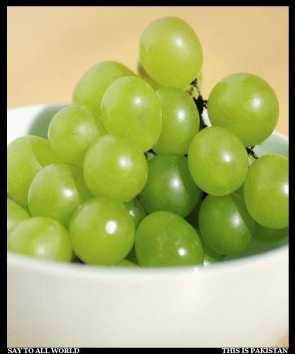 Grapes Of Pakistan - This is Pakistan
