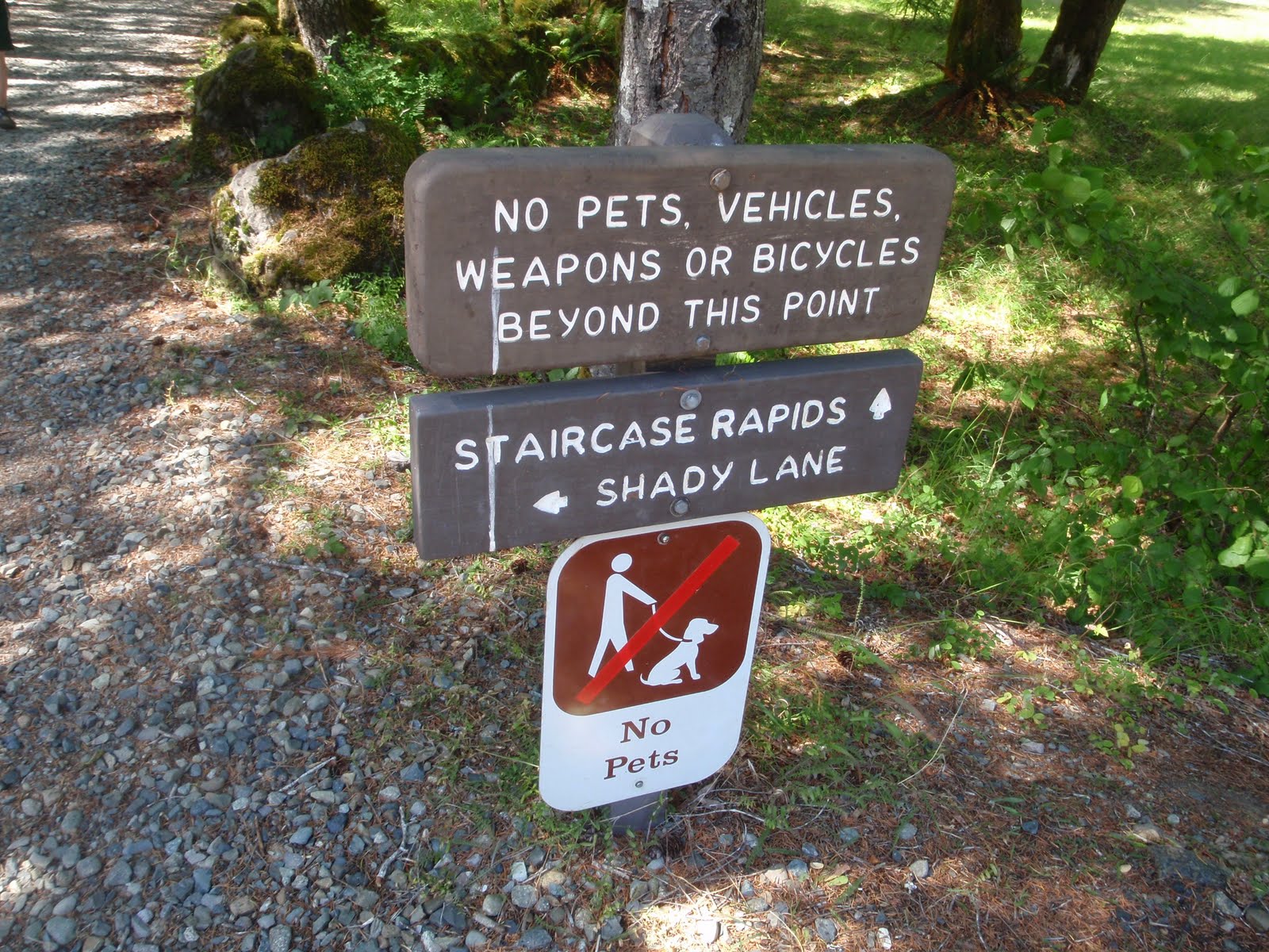 Blunoz Random Ramblings: Olympic National Park - Staircase Rapids Hike