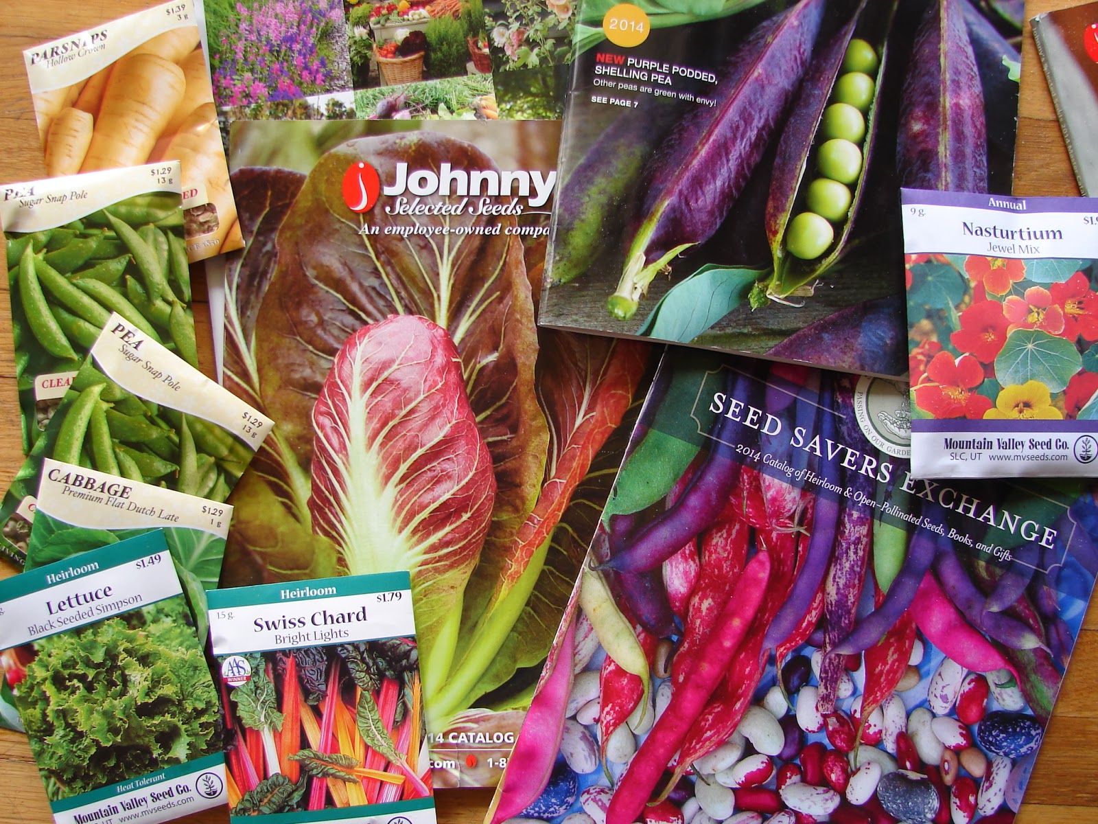 New Utah Gardener: It's Time To Get Spring Seeds!