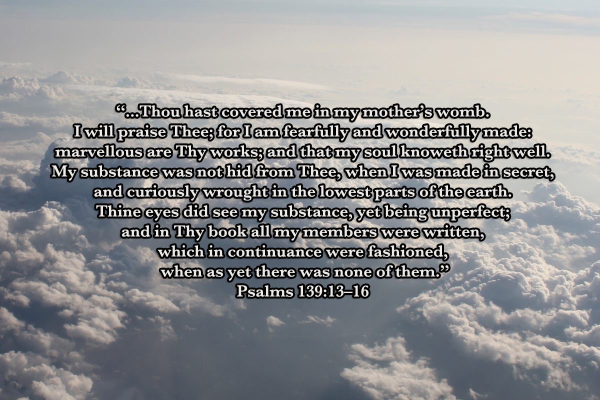 The Prophecy Puzzle: A MEDITATION ON PSALM 139