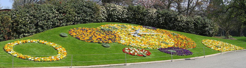 Best Swiss Places: The 5 Best Places to visit in Geneva