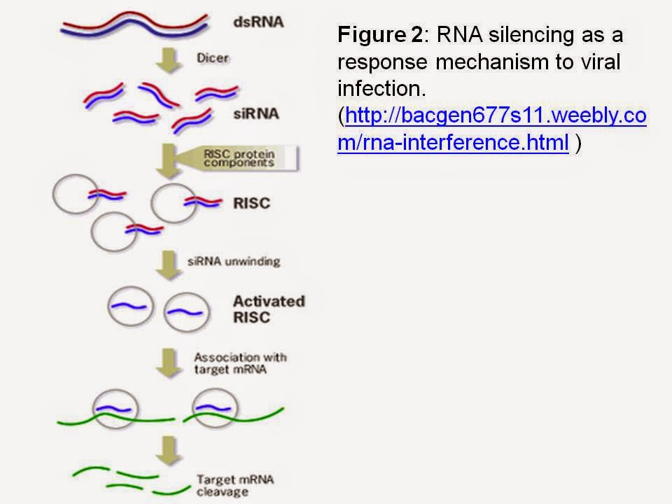 Mycoviruses: November 2014