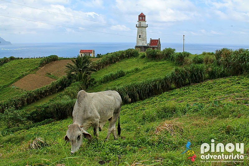 THINGS TO DO IN BATANES: Batan Island South Tour - "Amazing Places to ...