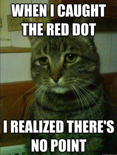 New cat memes compilation 2018