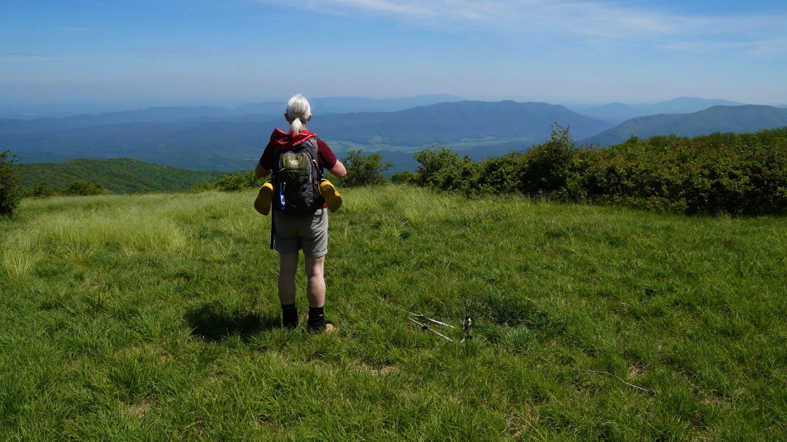 Smoky Scout's Hiking Adventures: Smokies 900 Round 2 - Gregory Bald