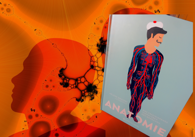 Rezension - Anatomie von Hélène Druvert