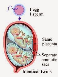 Twins & Teaching: Always Outnumbered: Twin Education