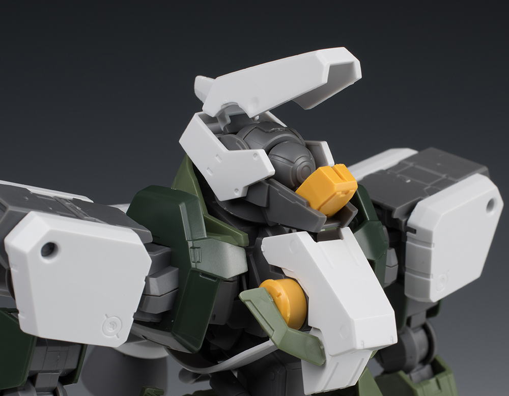 GUNDAM GUY: 1/100 Graze Custom - Review by Schizophonic9