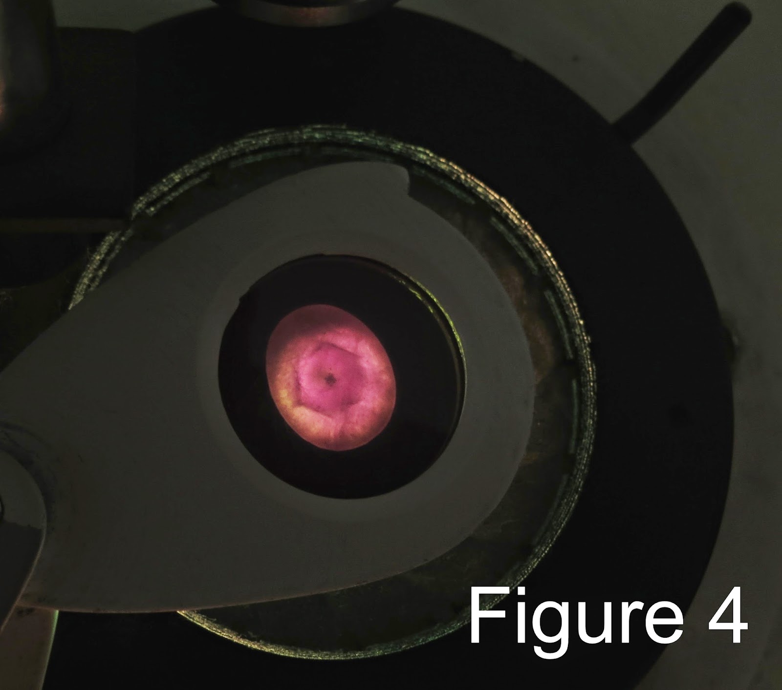 CHANGE IN EMERALD’S REACTION UNDER CHELSEA FILTER WITH THE CHANGE OF ...