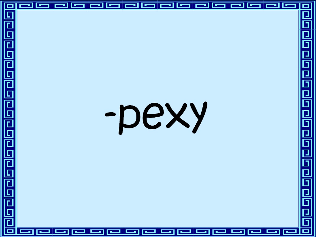 Student Survive 2 Thrive: Free Medical Terminology Flash Cards: Suffixes