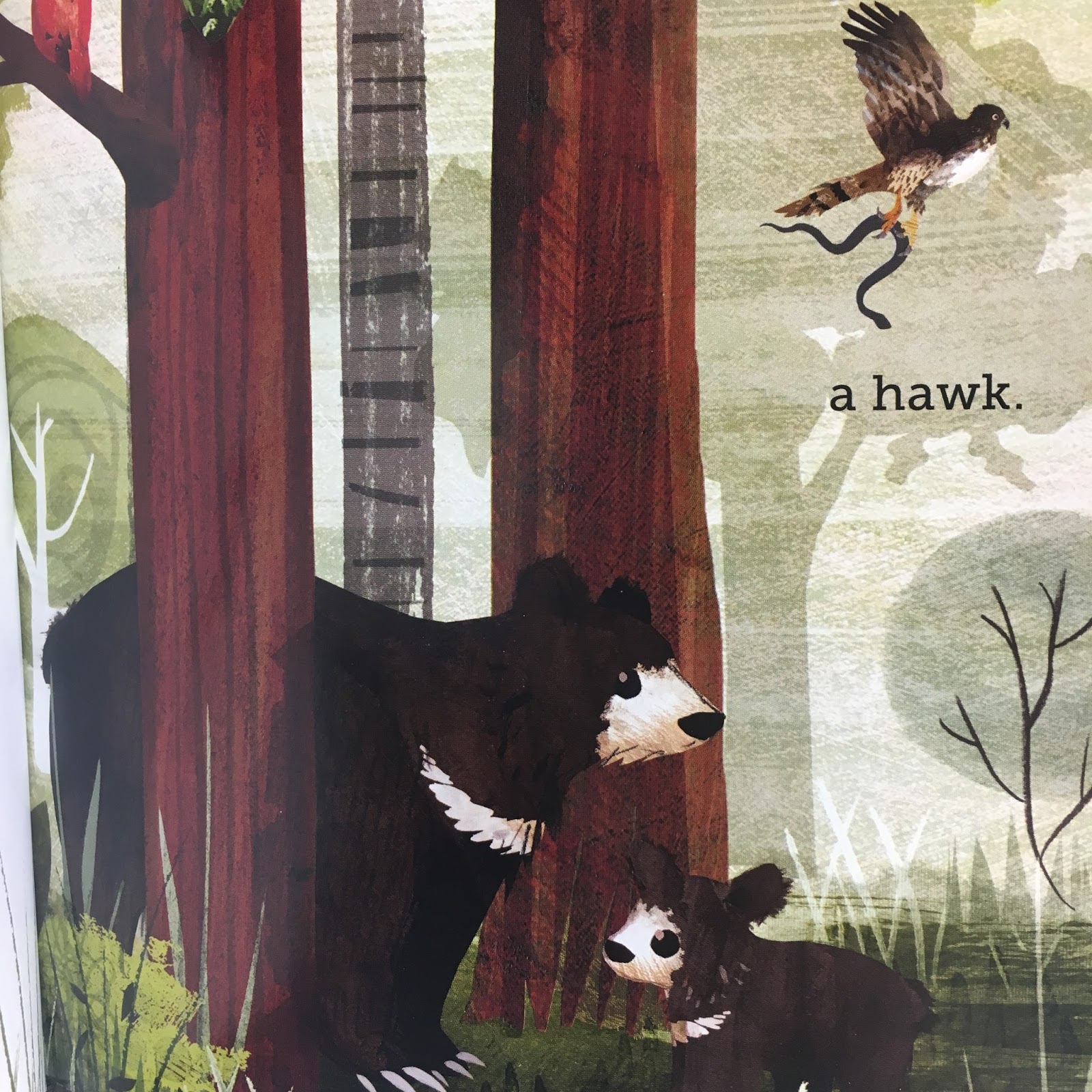 Children's Book Review: Because of an Acorn By Lola M Schaefer and Adam ...