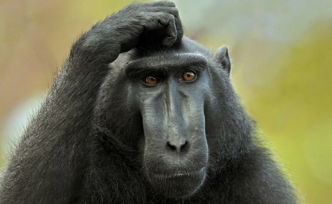 D'economía Blog: febrero 2017