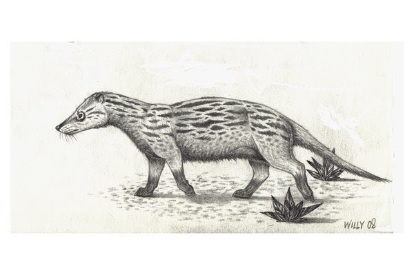 Escenarios prehistóricos: Cladosictis