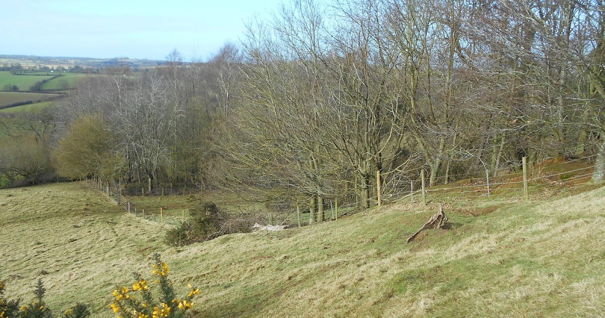 Tony's Blog: Below the windmill