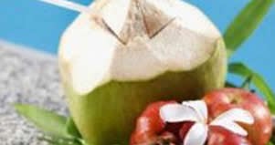 Resep Es Kelapa Muda Segar - Resep Masakan 4