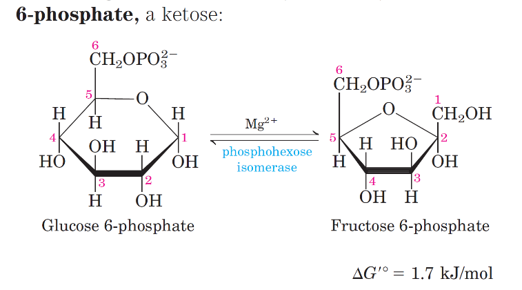 MicrobioTips: Glycolysis/EMP Pathway