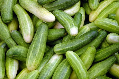 ketahui khasiat makanan anda: KHASIAT TIMUN