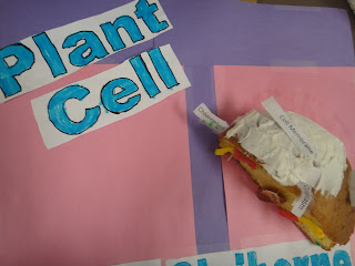 KaTiE's KLaSsrOoM: Cell Functions Project (5th grade)