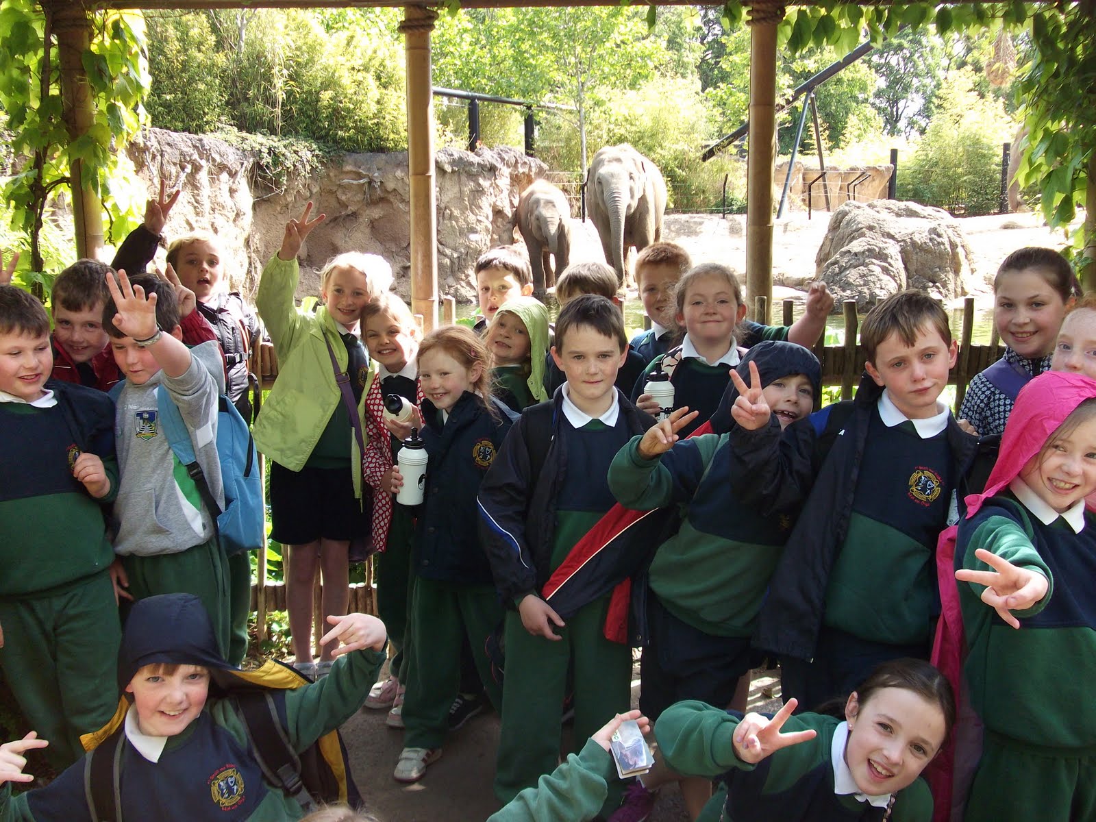 Gaelscoil na Ríthe and St. Pius X school blog: June 2011