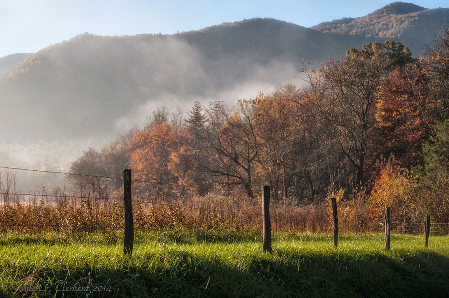 2014 Travels: Parsons Branch Road by way of Cades Cove and the Dragon