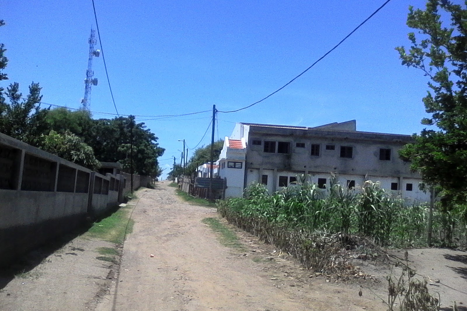 Crítico Melódico: Galeria de Imagens de Nhamatanda