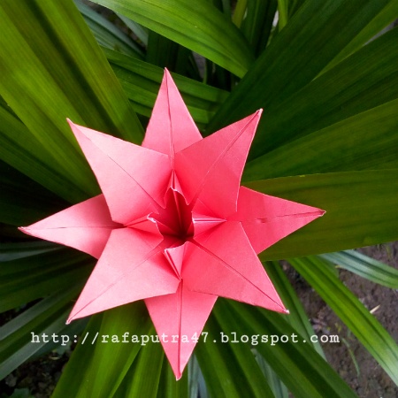 Membuat Origami Bunga Lily Indah - Origami unik