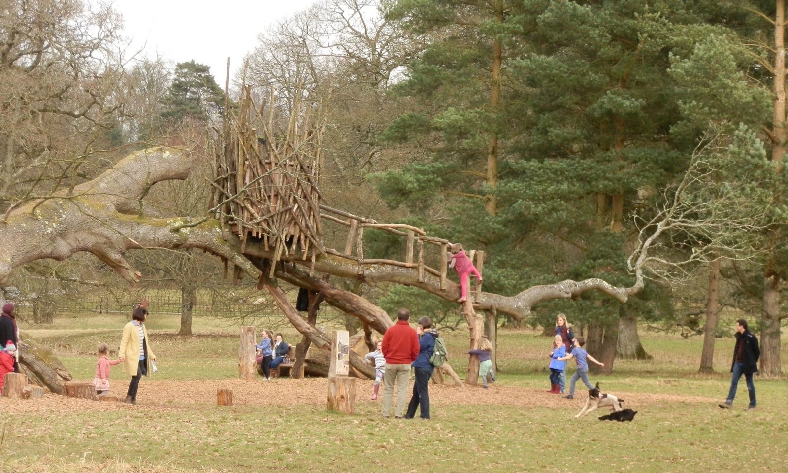 antonalyptic: Tiverton town leat