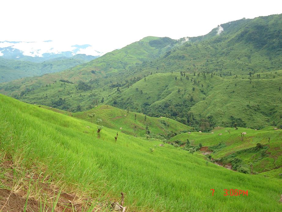 watermark: Tirap District