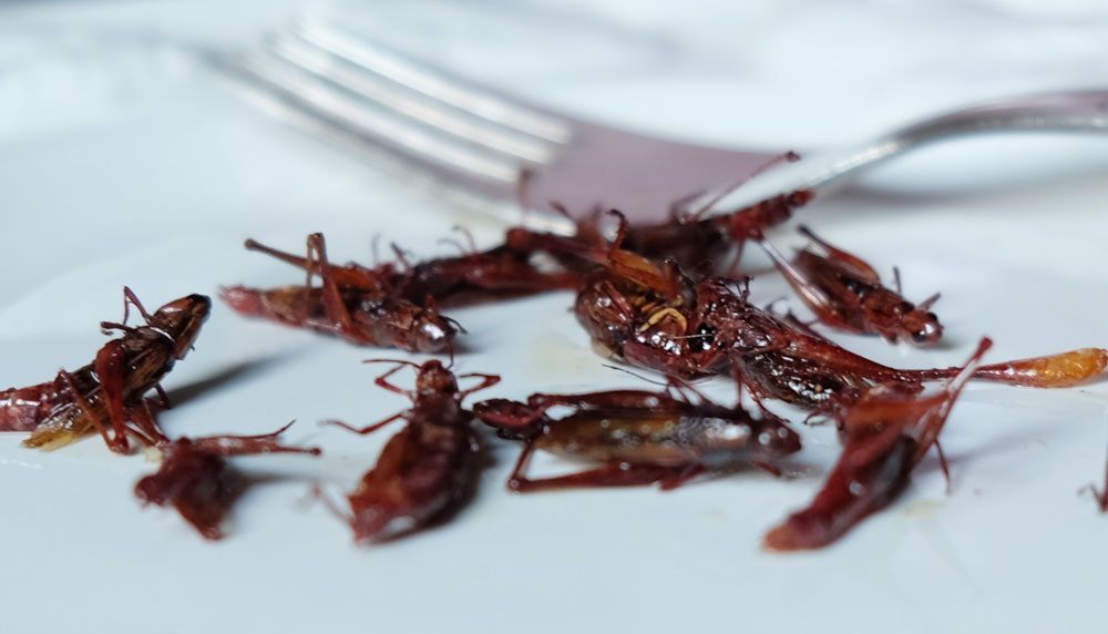 Rezepte & Blog: Essen bei Freunden: Leckere Spring-Ins-Feld ...