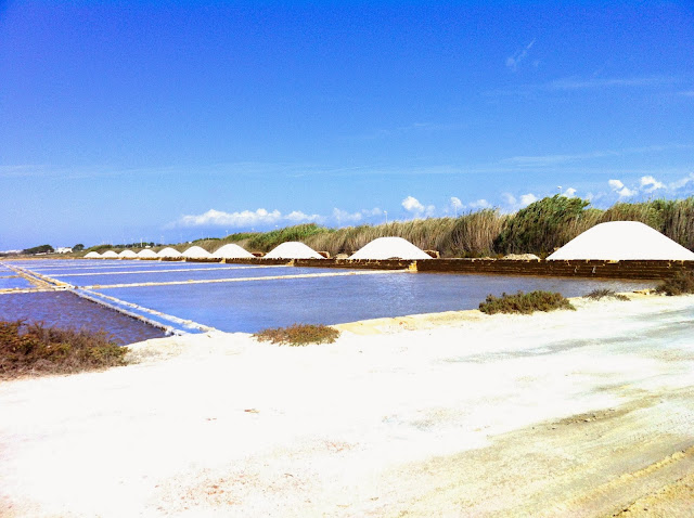 Squidway: The Beauty of Salt