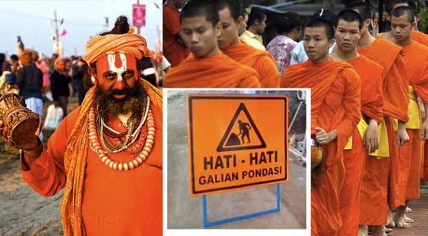 Pengertian Warna Jingga (Orange) Dan Contohnya - Ngeeneet