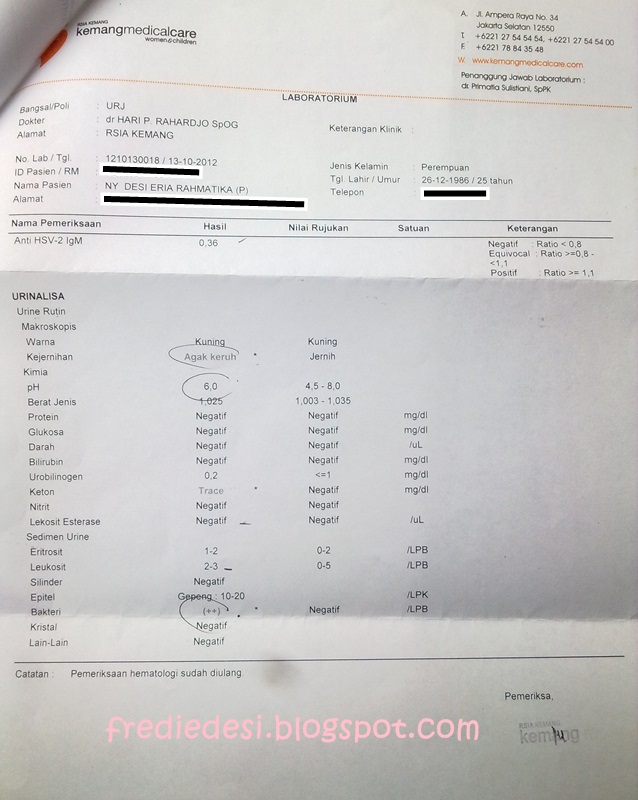 Our Love Journey: Pregnancy Medical Check Up