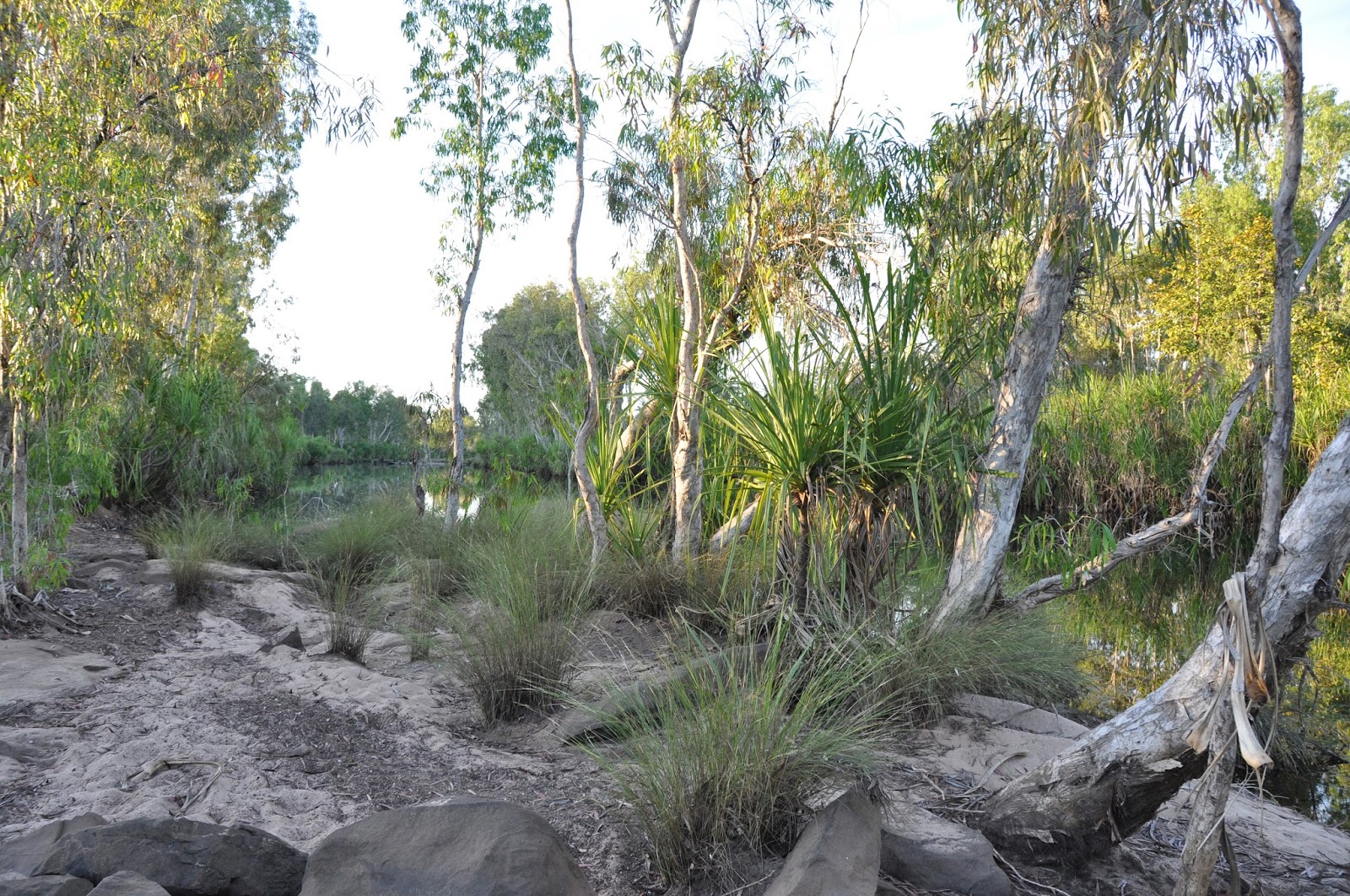 BarbaraTVan: BARBARA'S KIMBERLEY ADVENTURE - WALCOTT INLET TO GIBB ...