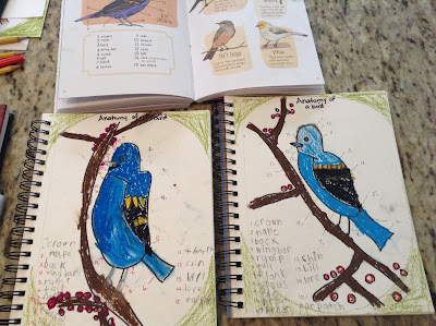 TeacherMomPlus3: Nature Study: Birds